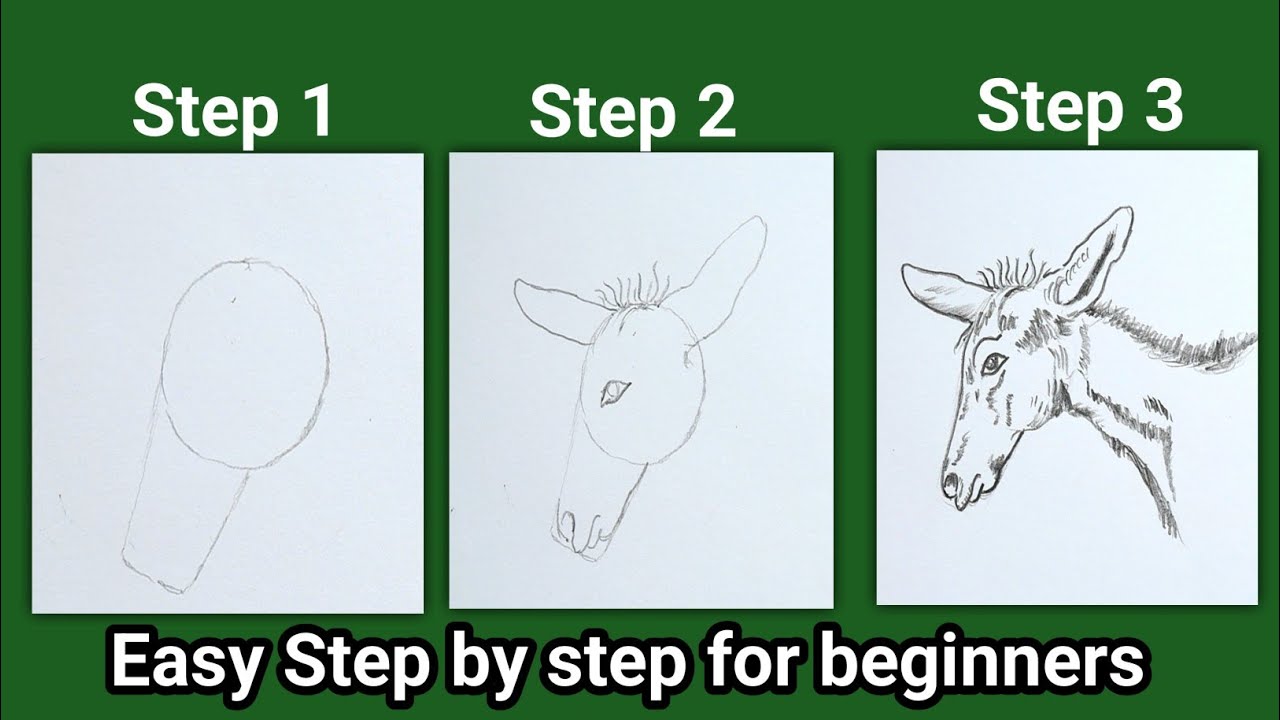 Easy drawing techiques of a donkey for beginners || - YouTube
