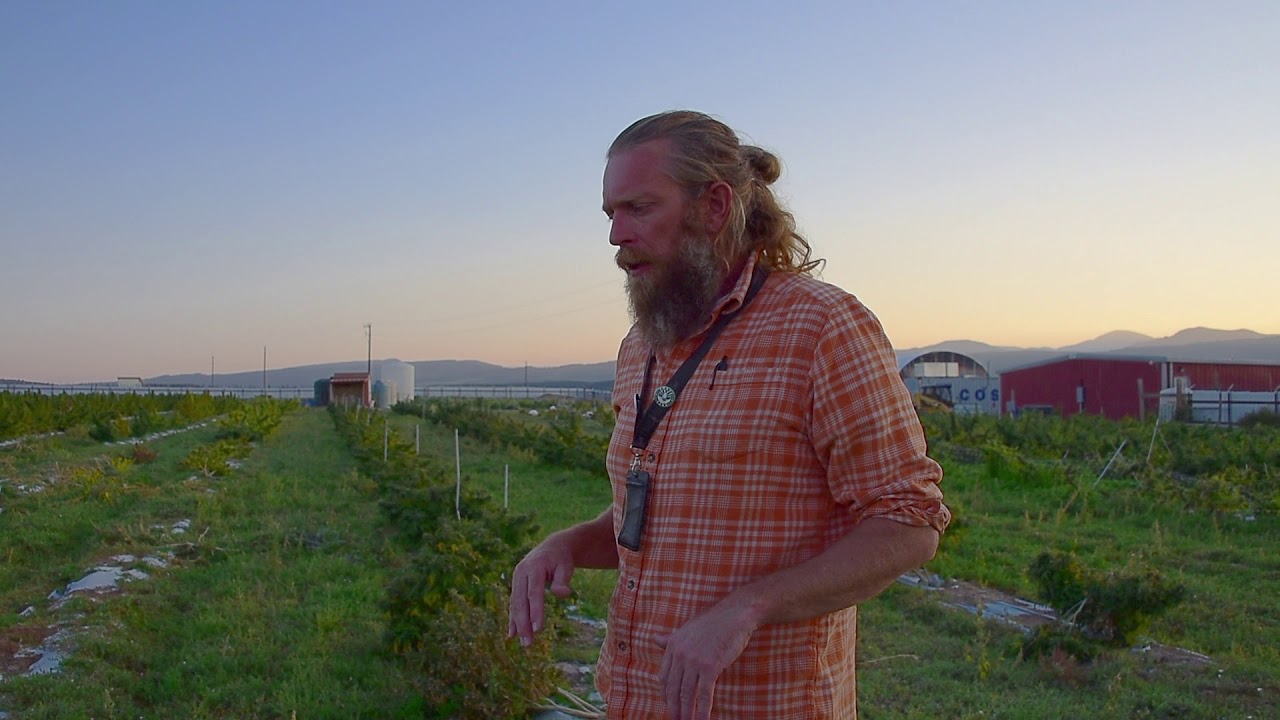 Yeti Farms Plans for 2021 - YouTube