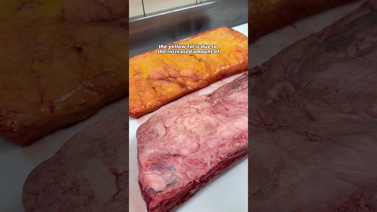 Look at that yellow fat! #steak #beef - YouTube