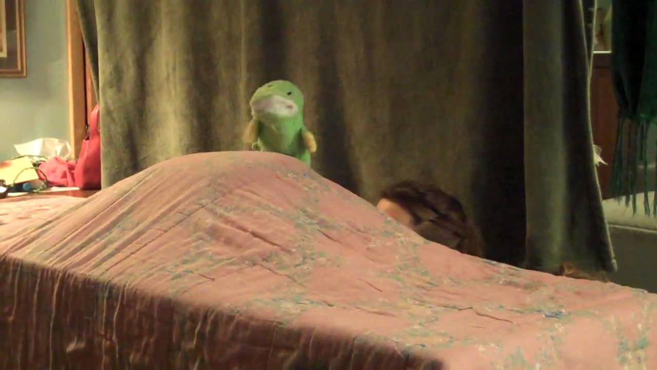 Intro to Puppet Show - YouTube