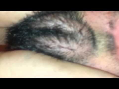 Que cosota