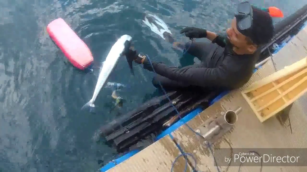 Refreshing....!!! Fun Fishing Bersama Club Mancing Teratai - YouTube