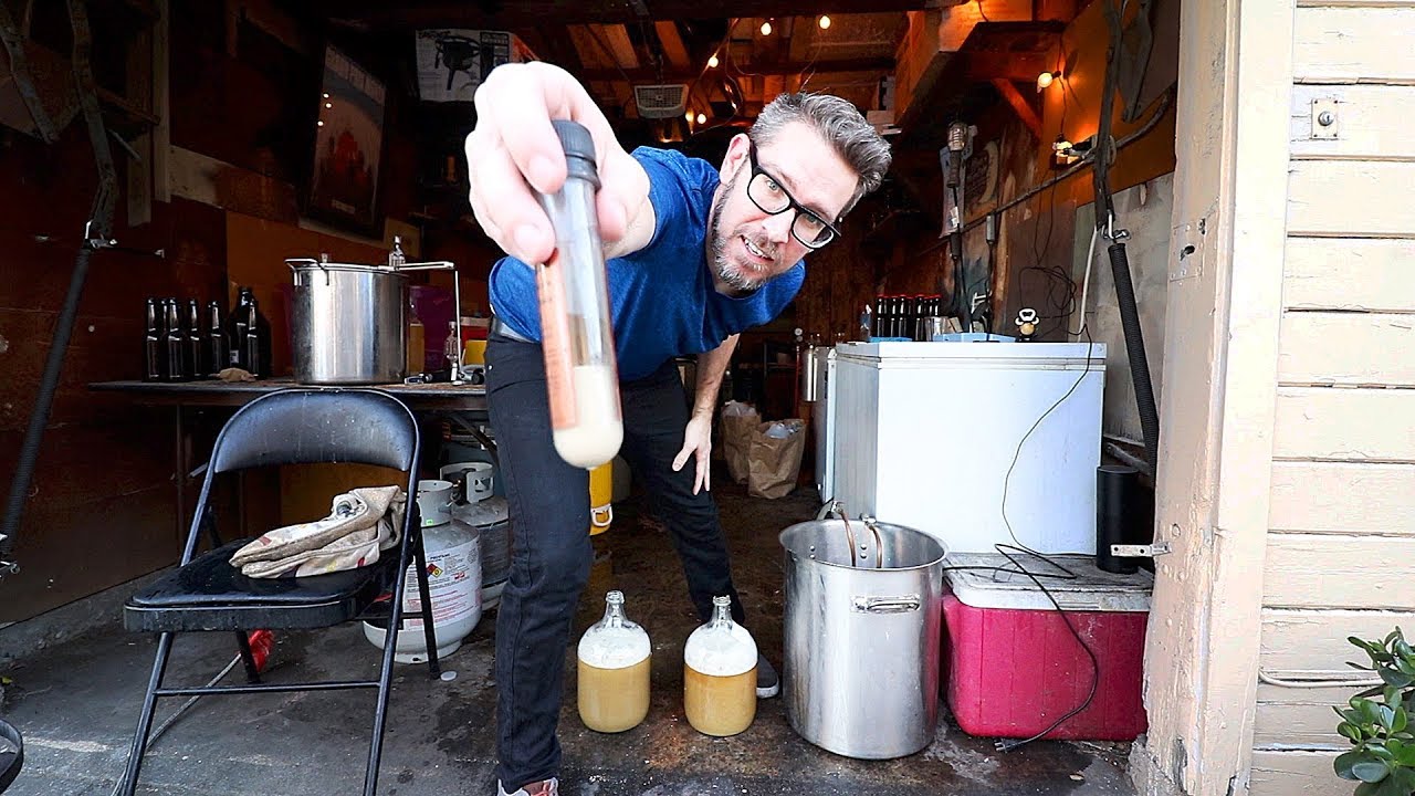 (Lager) Yeast Experiment - The Brew Day - YouTube