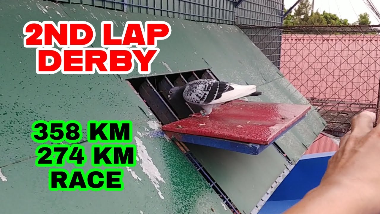 APR, FPR SECOND LAP DERBY - YouTube