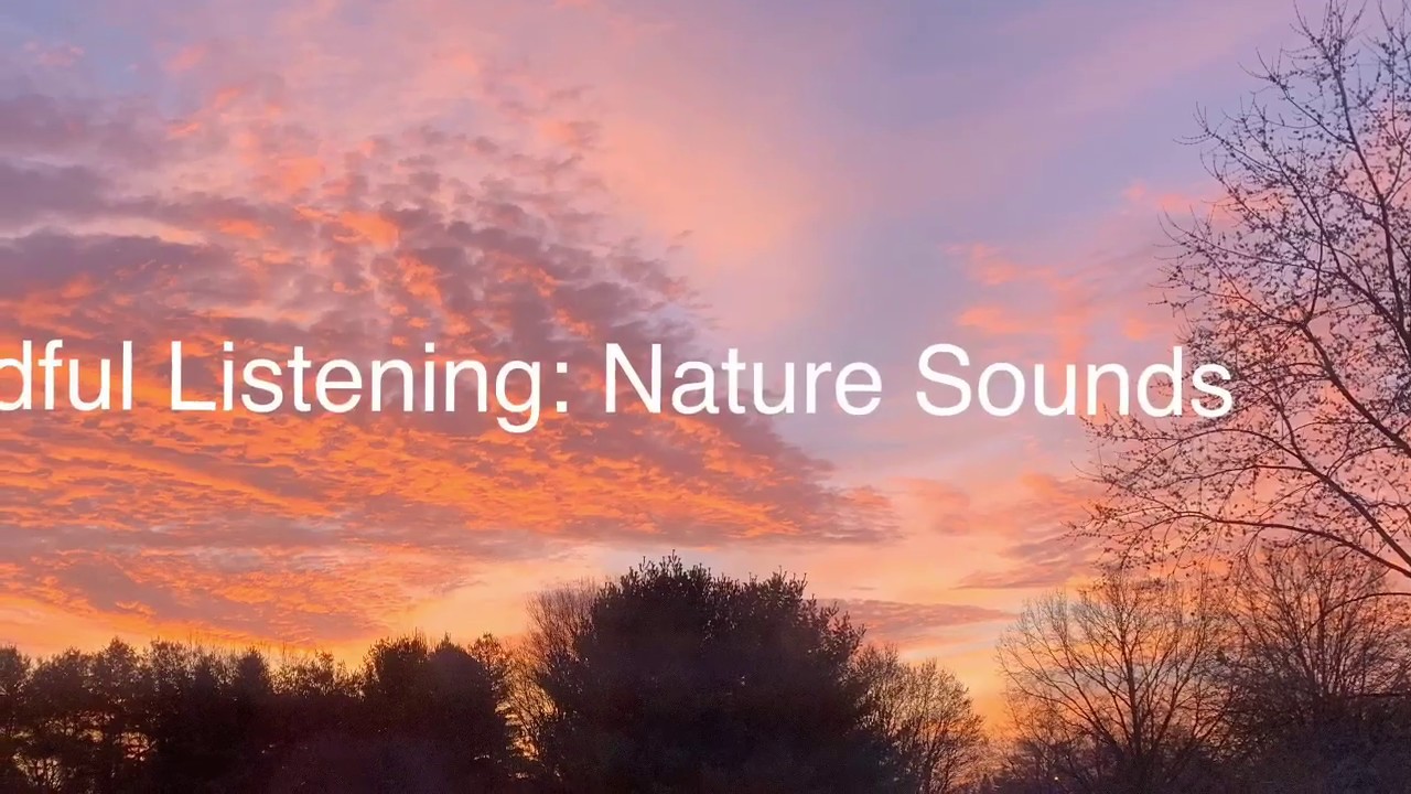 Mindful Listening Nature Sounds - YouTube