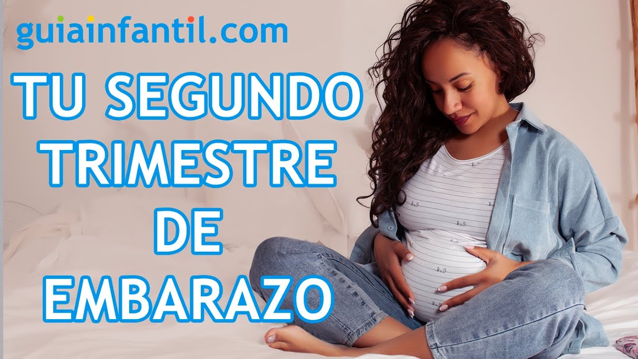 El segundo trimestre del embarazo🤰Desarrollo del bebé y cambios en la ...