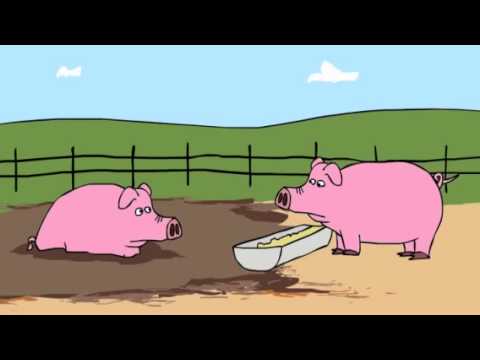 Sminky shorts - YouTube