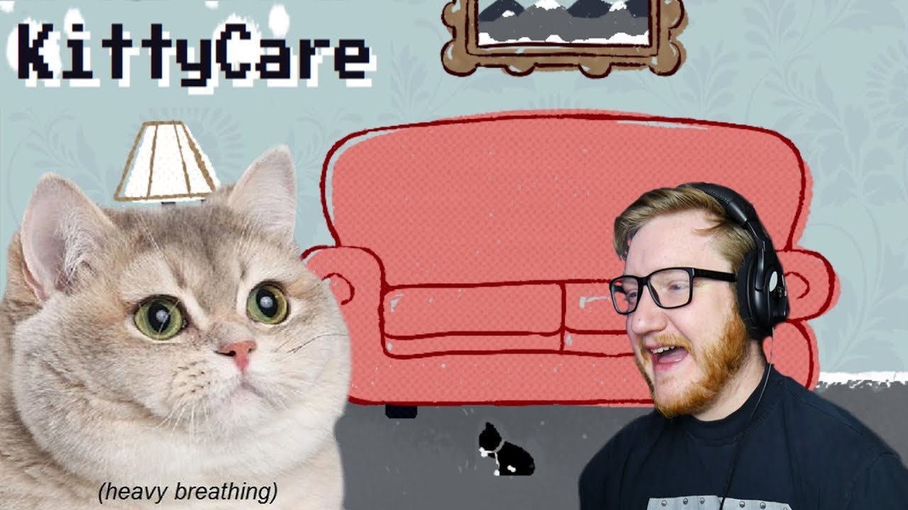 Kitty Care | Herding Cats at the Cat Ranch - YouTube
