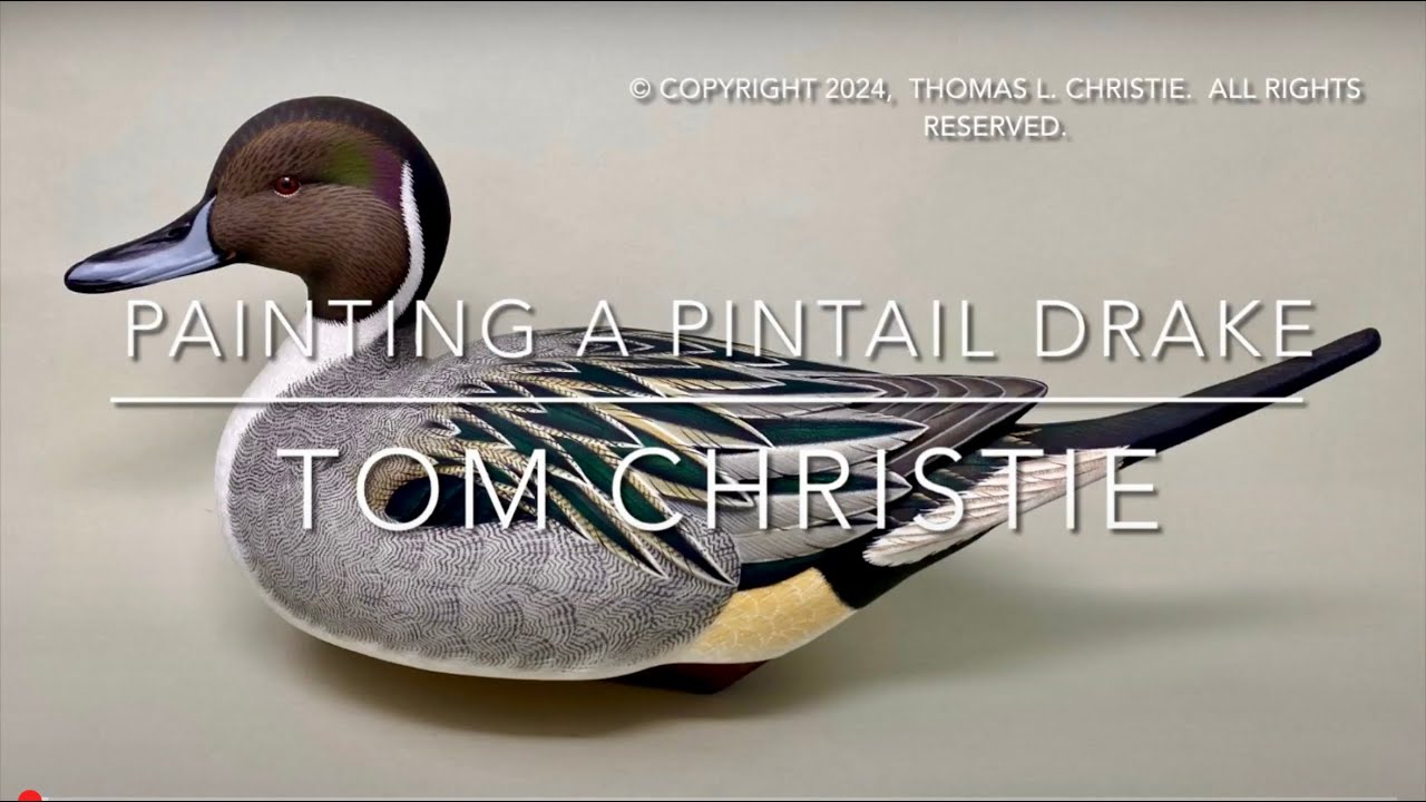 Pintail Drake Decoy Painting Video - YouTube