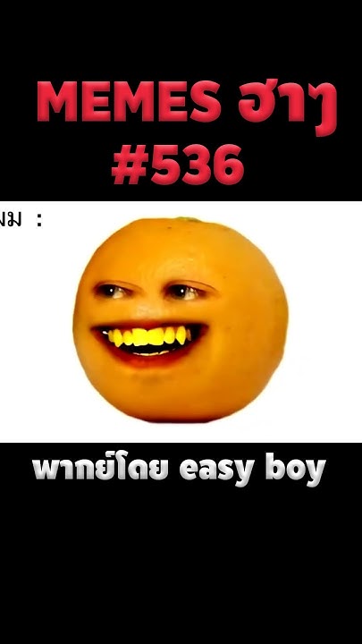 อ่านมีมฮาๆ Short Memeไทย Memes Meme พากย์นรก พากย์ไทยอ่านมีมฮาๆ