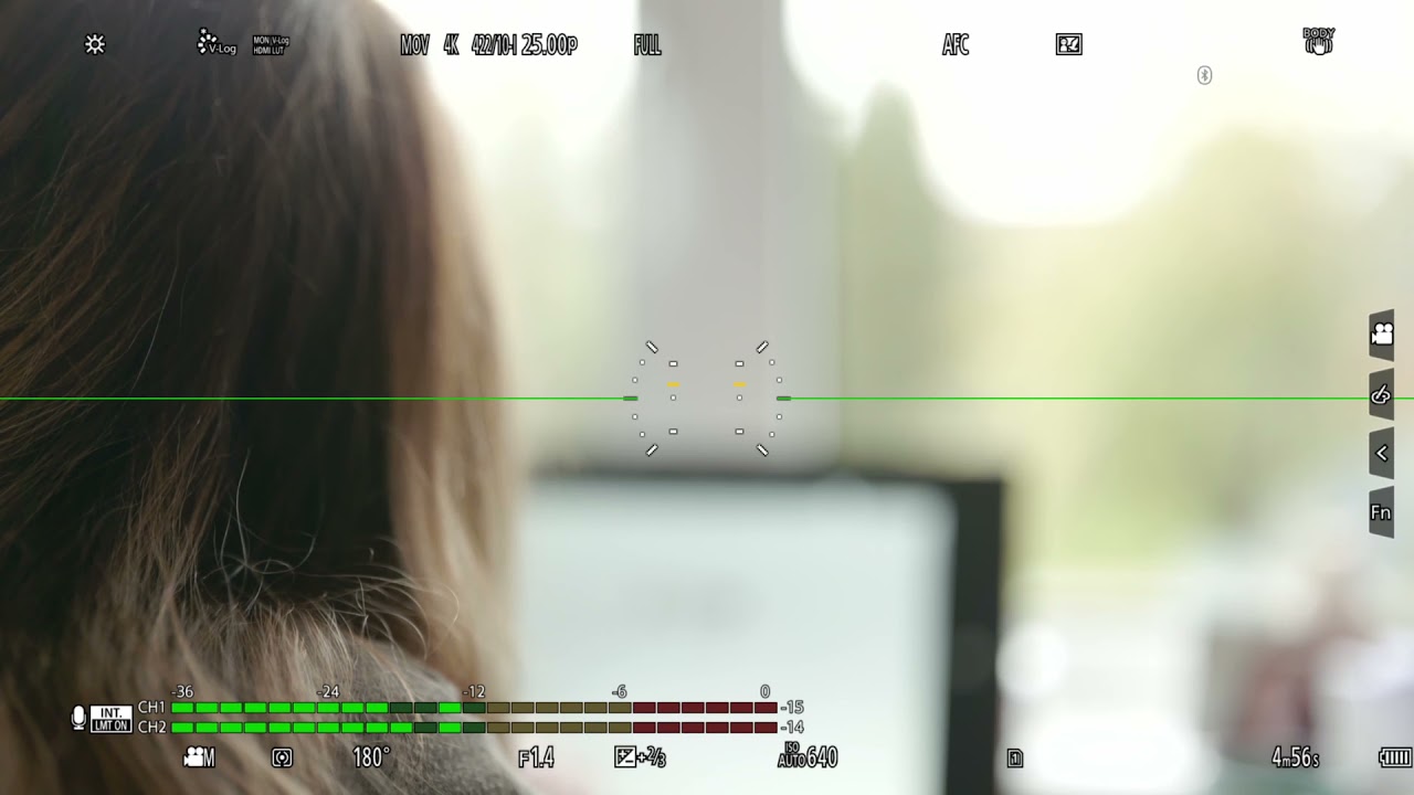 How to make your own Lumix .vlt in-camera LUT - YouTube