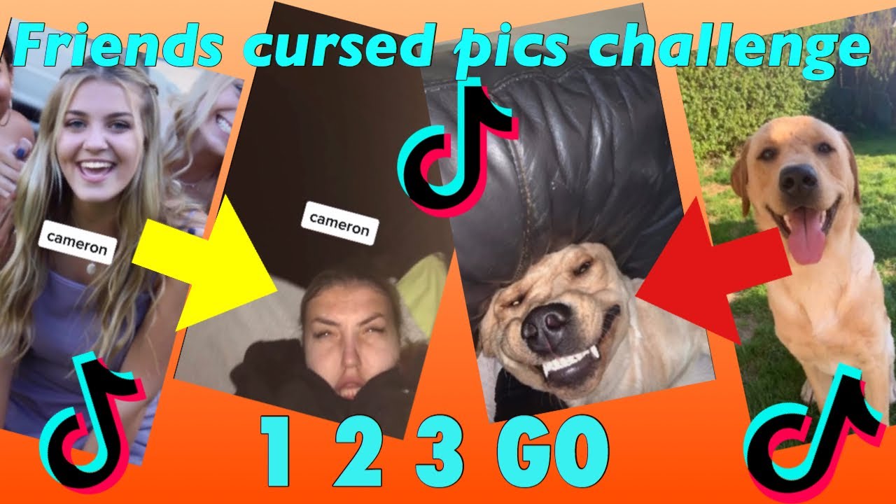 "Our friends cursed pictures, 1 2 3 GO" challenge/ BEST TIKTOKS ...