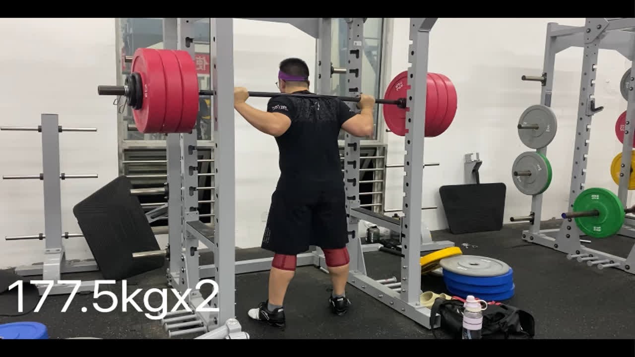 sheiko gold计划 day67 - YouTube