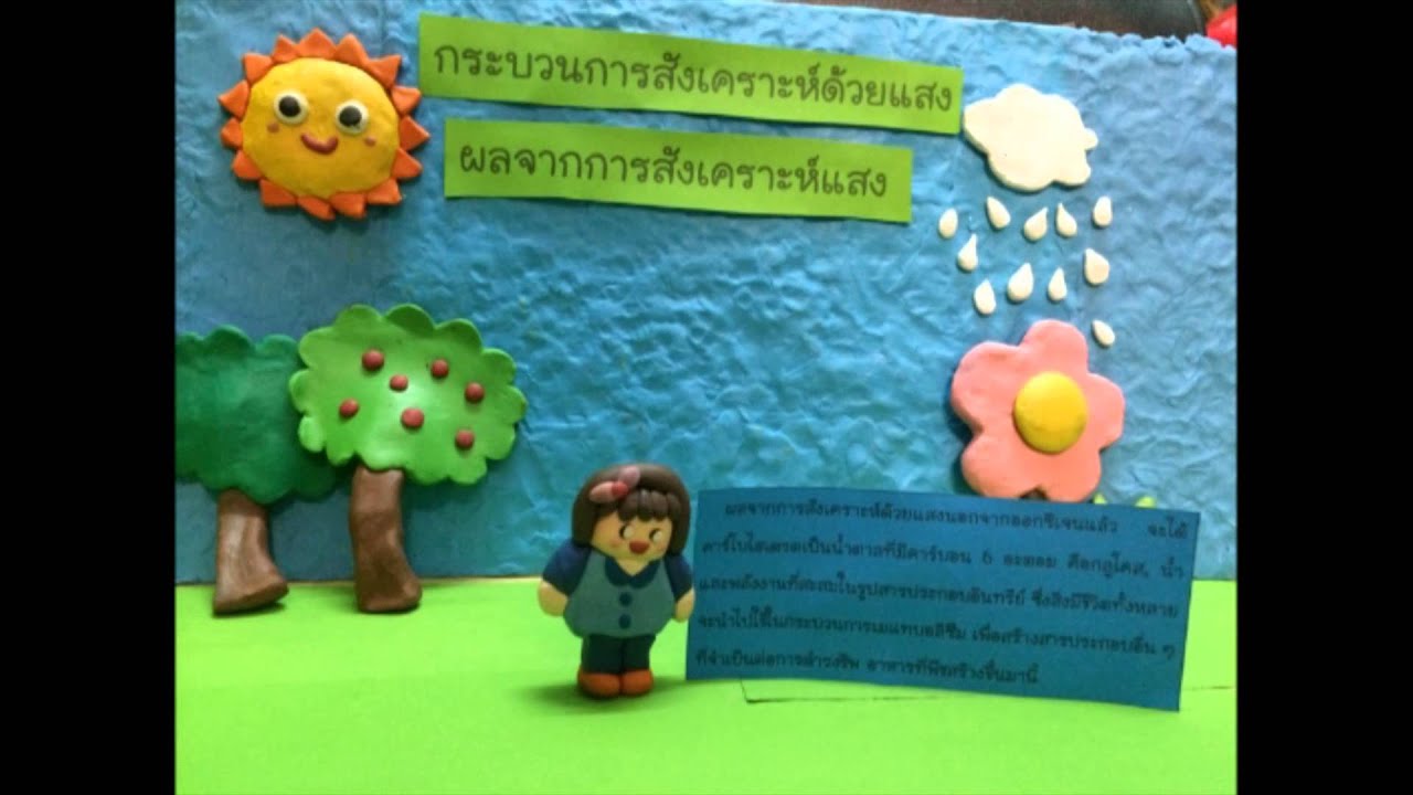การสังเคราะห์แสง (Photosynthesis) :STOP MOTION: - YouTube