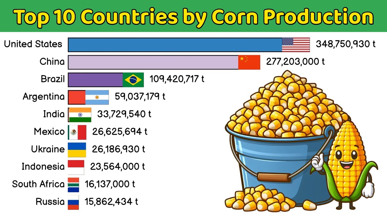 Top 10 Countries by Corn Production | Top 10 Data Ranking - YouTube