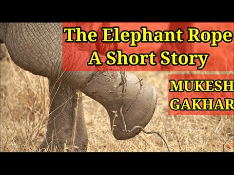 The Elephant Rope story | Short story |Story in English | Education ...