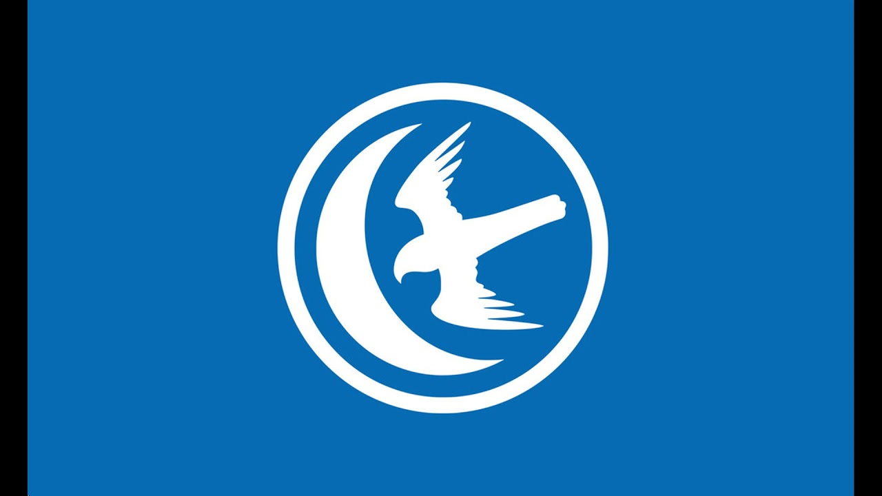 The Falcon Knight - YouTube