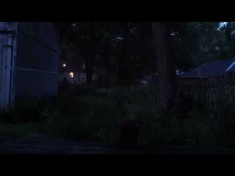 fireflies with ambient sounds of summer dusk - YouTube