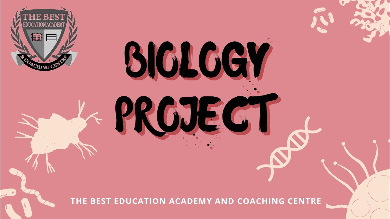 Digestive System.. Learn through animated video. 😊😇☺️ @canva - YouTube
