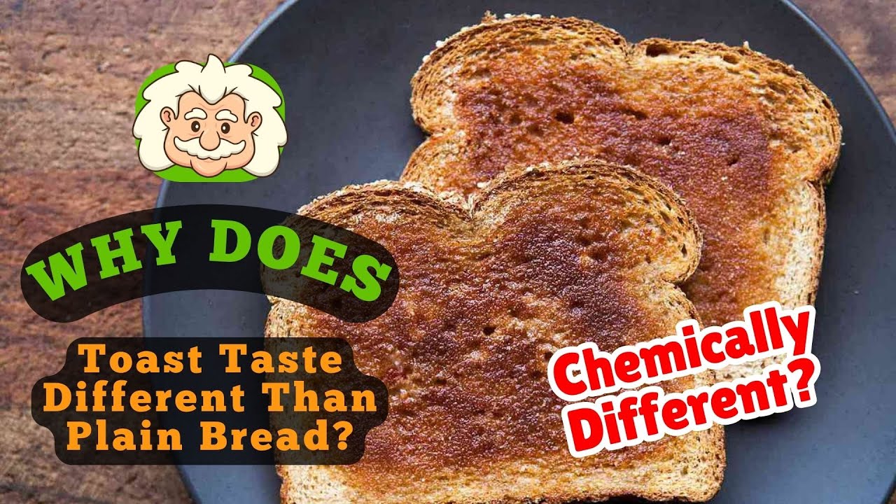 Why Does Toast Taste Different Than Plain Bread? The Science of a ...