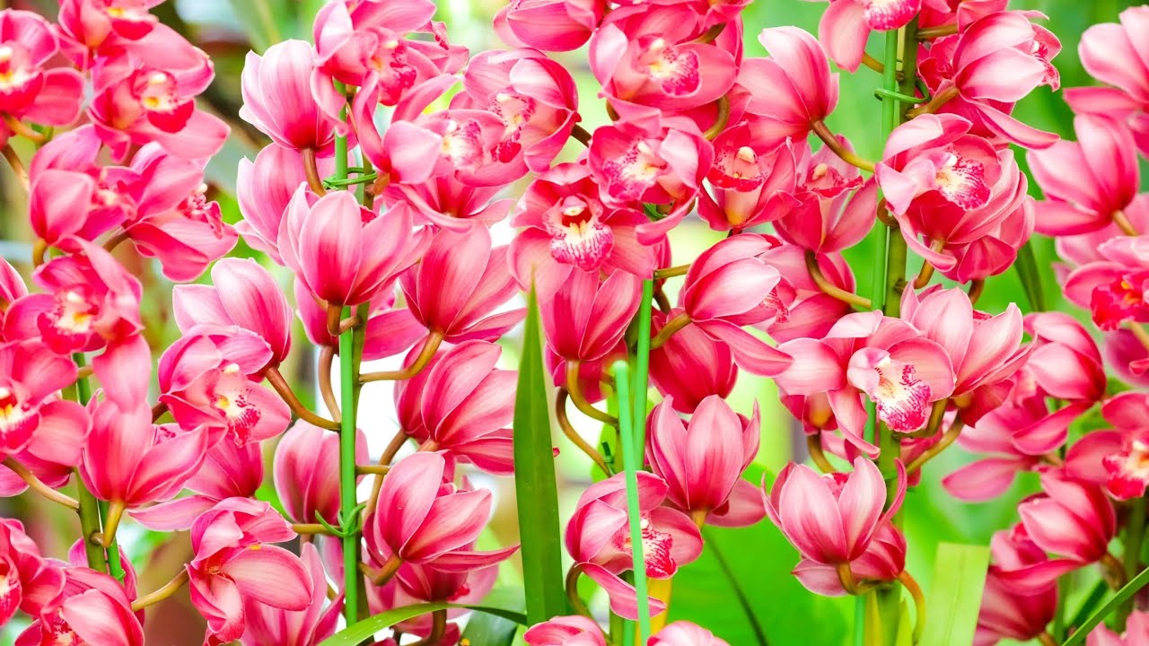 Bright EDM Music: Bright Electronic Dance Music, Vibrant Music ...