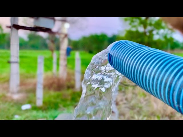 Oneplus 9R Slow Motion Camera Test