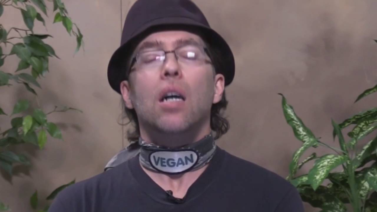 Sexy Vegan Foods Gone Sexual Youtube