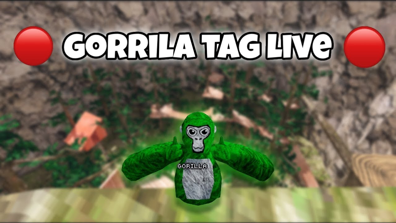 🔴GTAG LIVE (INFECTION+MINIGAMES)🔴 - YouTube