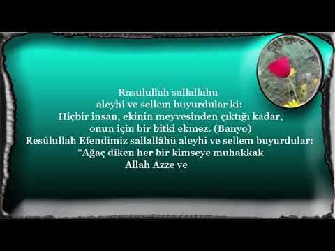 İnsan Öldüğü Zaman