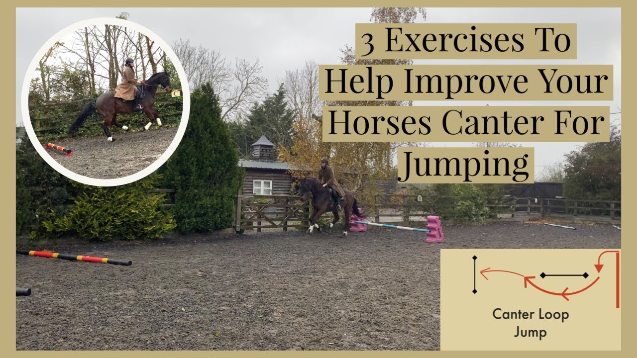 Pole Work to Improve Your Show Jumping | Equestrian - YouTube