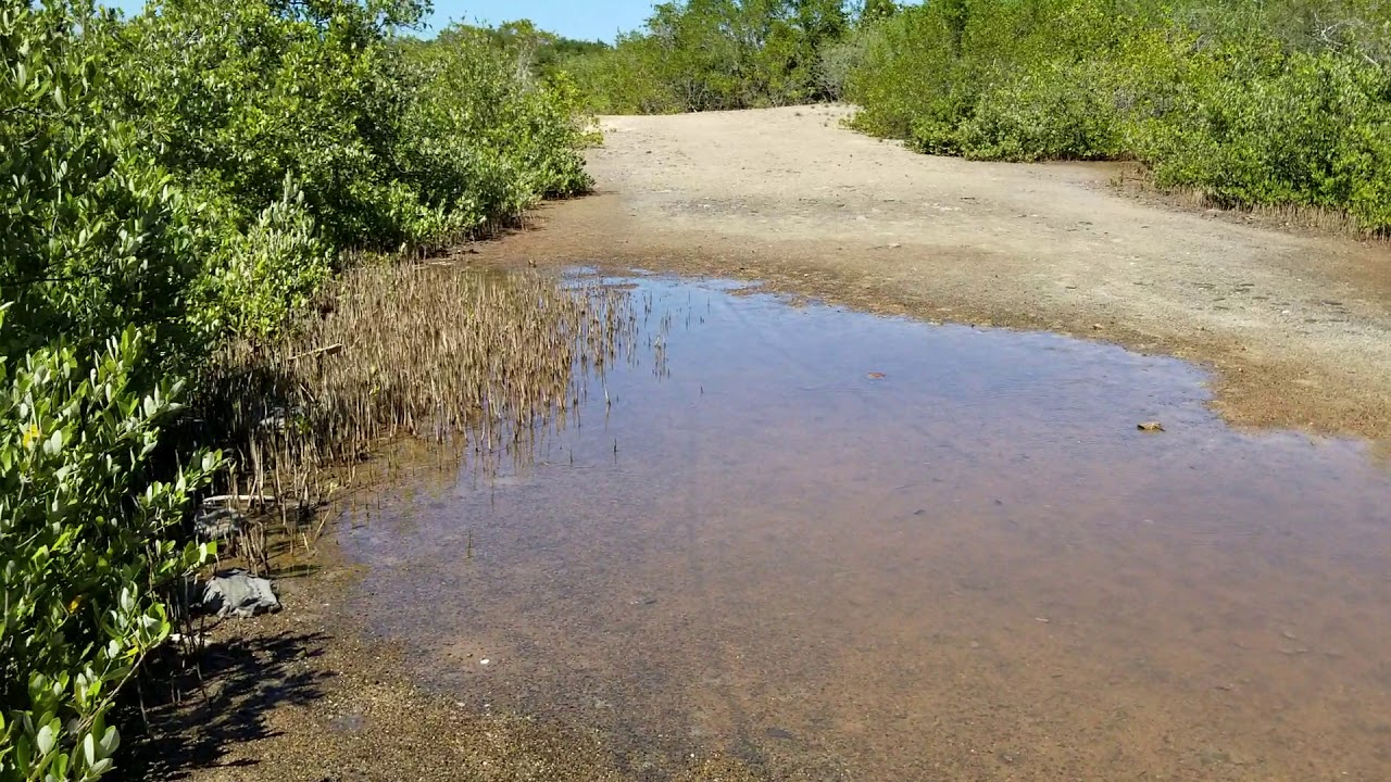 LLEGANDO A LA PLAYA EL BAÑITO - YouTube