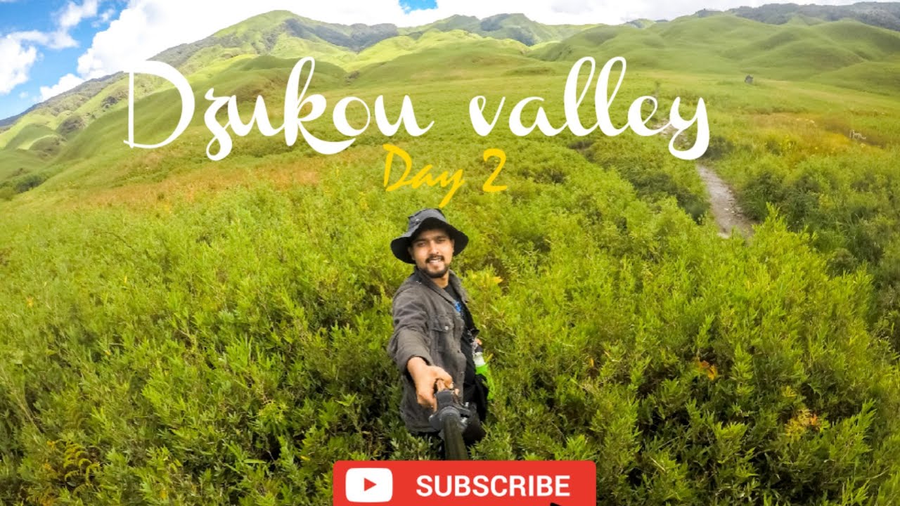 Dzukou valley | Day 2 | solo trip | Nagaland | Viswema | #bgwanderr ...