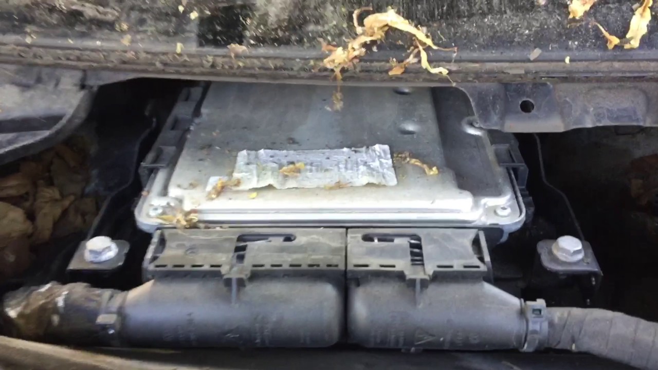 steuergerät ausbauen vw passat cc Deutsch/Rumänisch 2 - YouTube