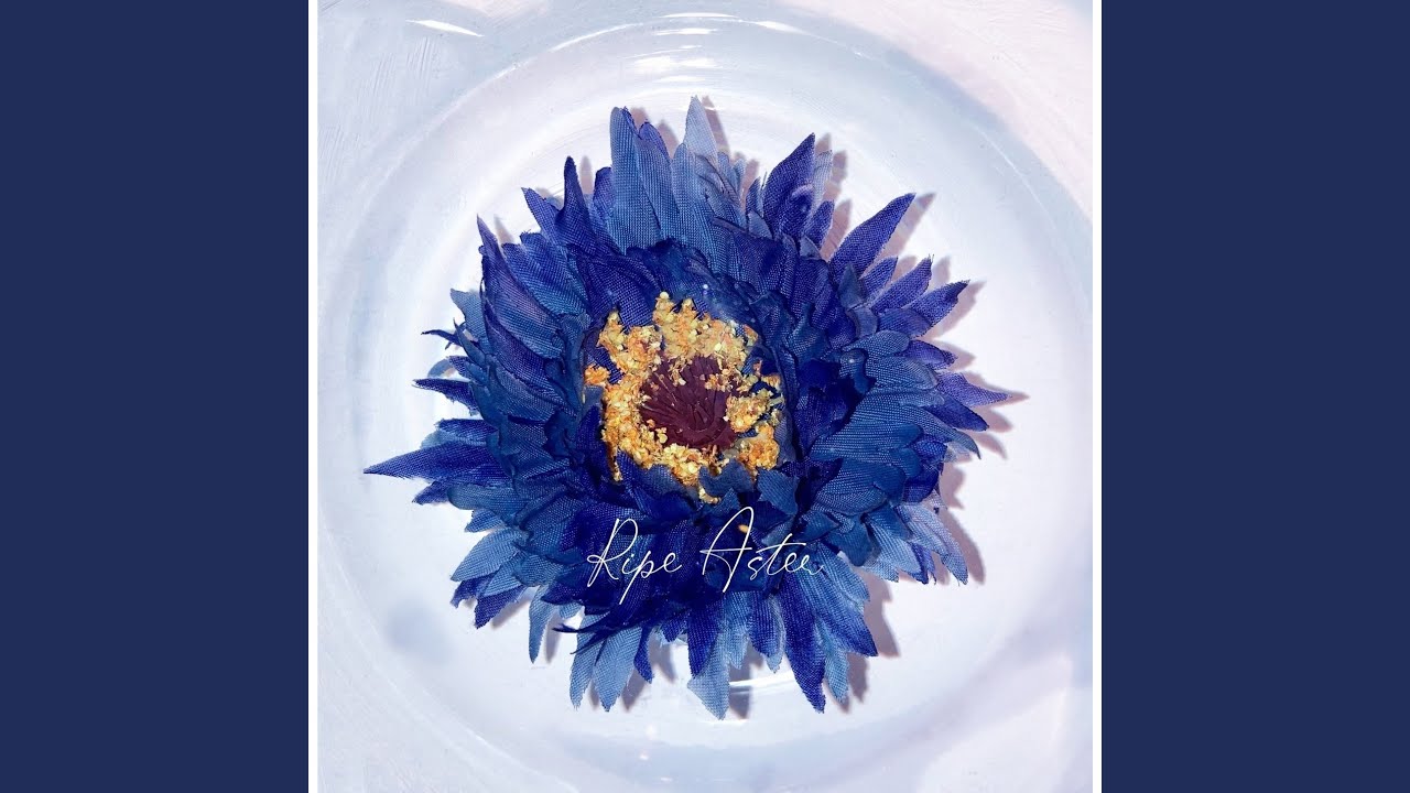 Ripe Aster - YouTube Music