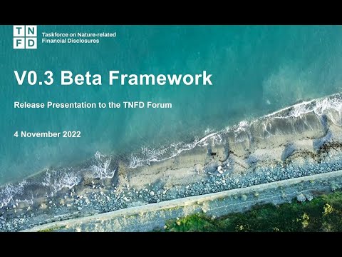 TNFD Forum Webinar: Introducing the third iteration (v0.3) of the TNFD beta framework - YouTube