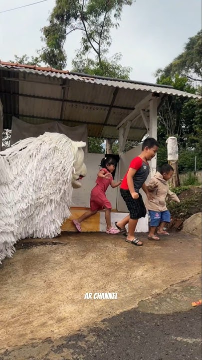 can macanan kejar pasukan bocil - YouTube