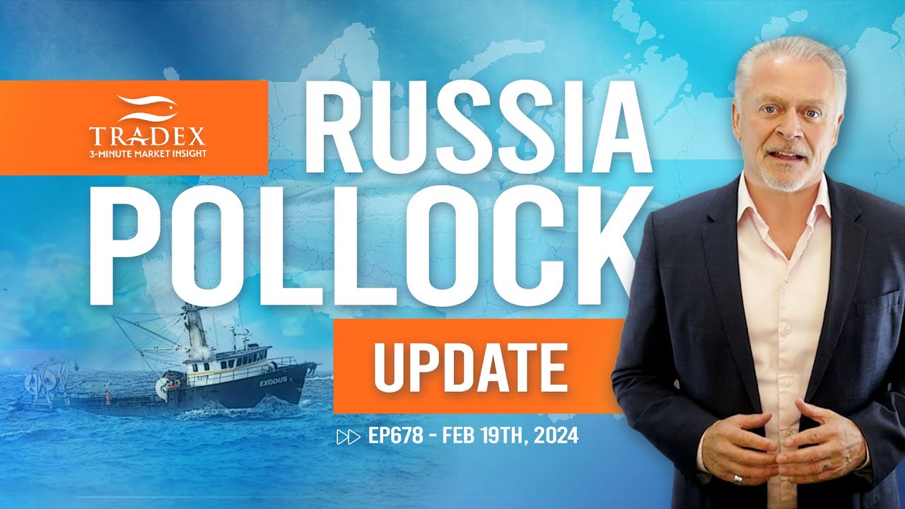 3MMI - 2024 Russia Pollock: Harvest, Prices, Outlook - YouTube