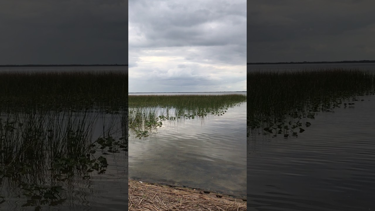 Blind Mosquitoes on Lake Weohyakapka Copyright Phillip Lott Phillip's ...
