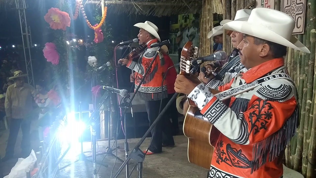 Trío Los Genuinos - El Caballito. Huapangueada Tamalín, Ver. 2018 - YouTube