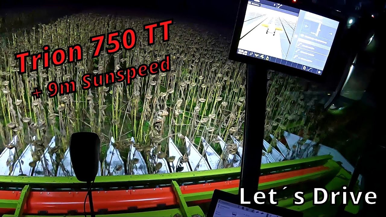 Let´s Drive Claas Trion 750 TT + 9m Sunspeed beim Sonnenblumen dreschen ...