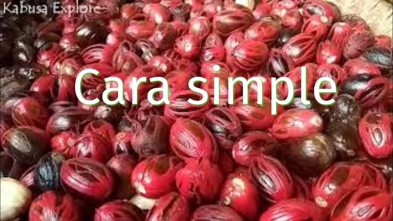 Melepas Fuli dari biji buah pala. - YouTube