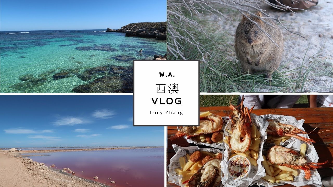 西澳Western Australia VLOG2018 | 珀斯·尖峰石阵·赫特泻湖·罗特内斯特岛 | Perth·Hutt Lagoon ...