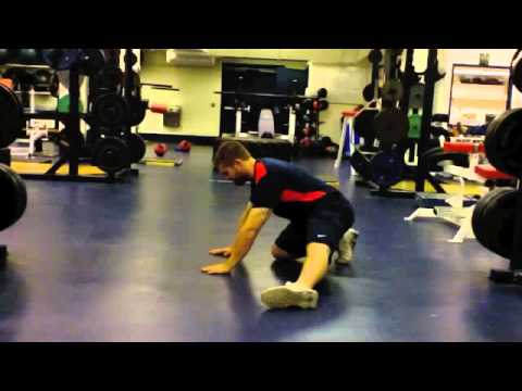 Quadruped Adductor Stretch - YouTube