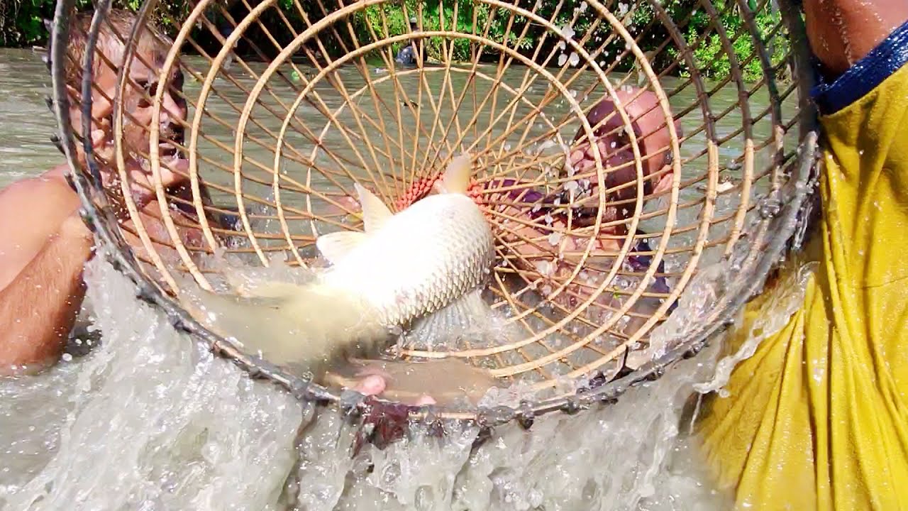 Unique Big Fishing in Dighi Underwater by Polo! Best Biggest Fish ...