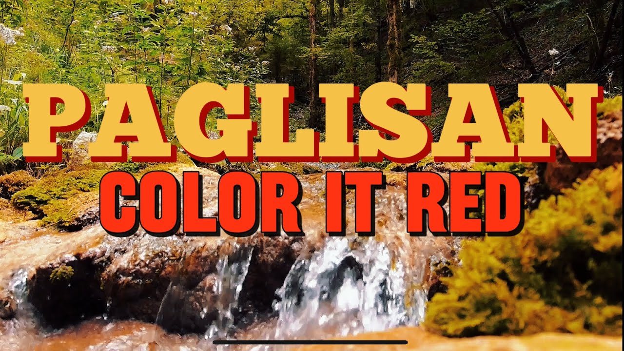 PAGLISAN LYRICS - COLOR IT RED #mitoskareenramirez #mitoskareen # ...