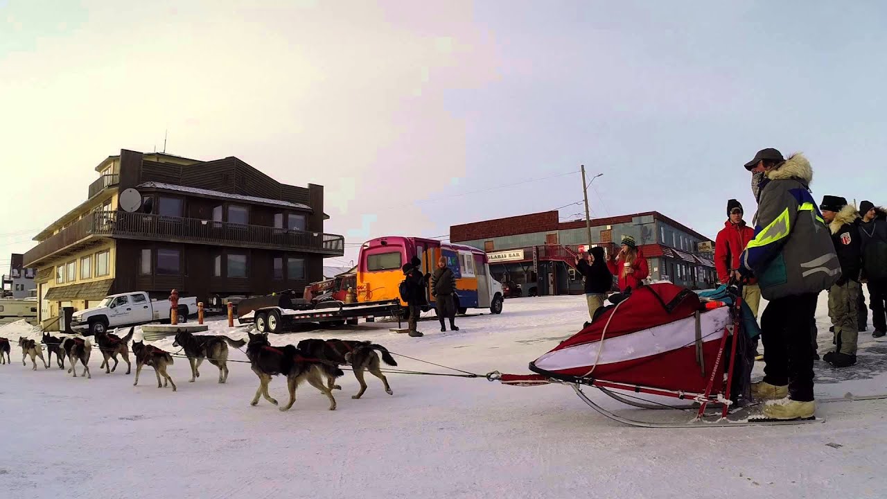 IDITAROD 2014 Finish Line: Travis Beals - YouTube