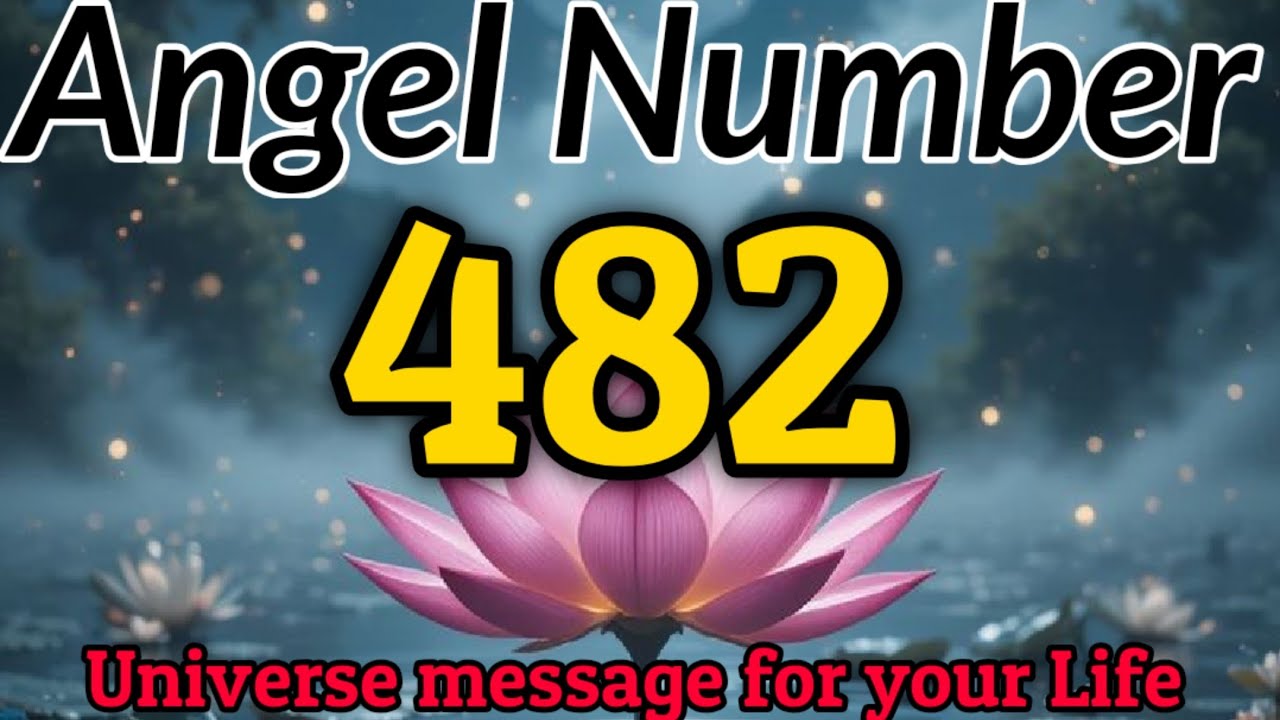 ANGEL NUMBER 482, ANGEL NUMBER 482 HINDI, ANGEL NUMBER 482 FOR TWIN FLAME @diviine_twinflame ...