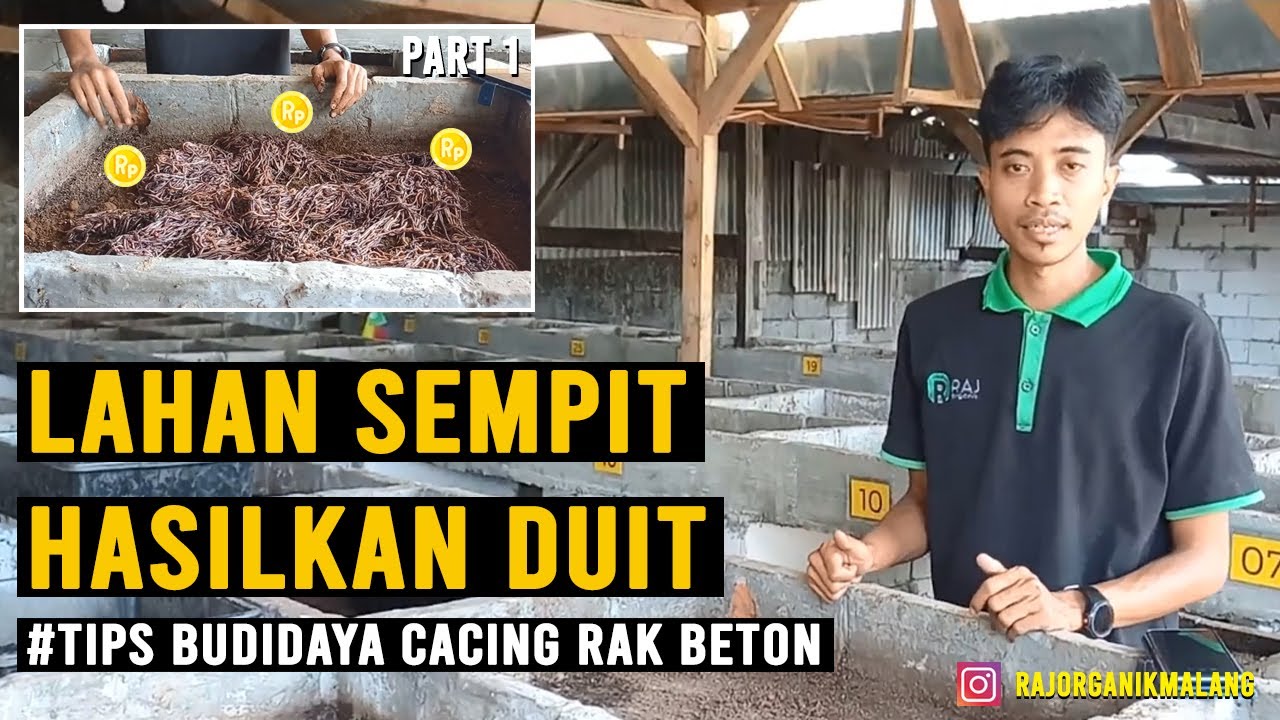 Lahan Sempit Hasilkan Duit, Tips Budidaya Cacing Rak Beton, Part 1 ...