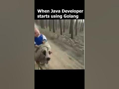 When Java Developer Starts Using Golang #programmerhumor - YouTube