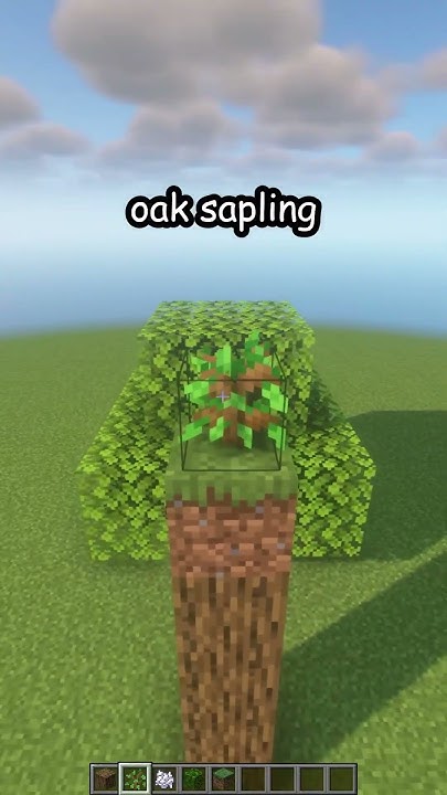 EASY CUSTOM MINECRAFT TREE - YouTube